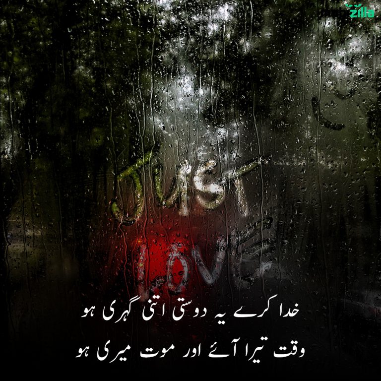 Top 100+ Friendship poetry Urdu - Dosti poetry shayari