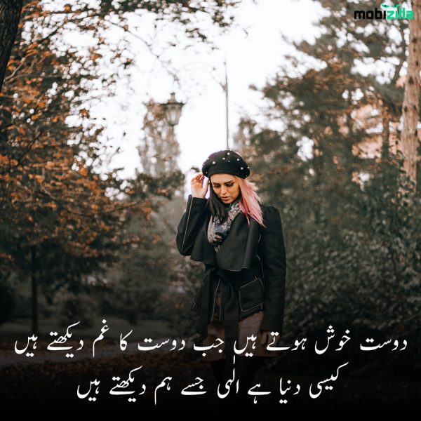 Top 100+ Friendship poetry Urdu - Dosti poetry shayari
