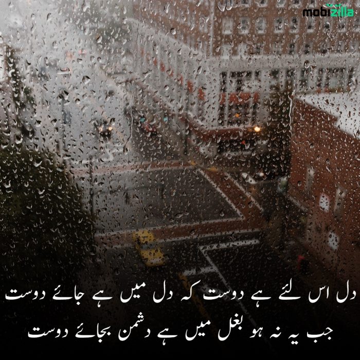 Top 100+ Friendship poetry Urdu - Dosti poetry shayari