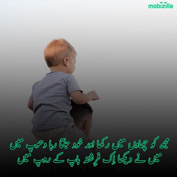 Father poetry in Urdu | father Shayari | Baap Shayari