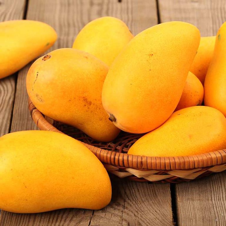 Most Popular Types of Mangoes in Pakistan