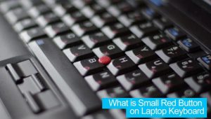 What is Small Red Button in Middle Laptop Keyboard for? [TrackPoint ...