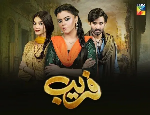 Fareb Drama: Cast, Story, Timing & Other Facts